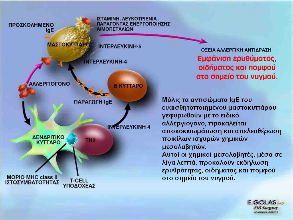 ΚΛΙΝΙΚΗ ΑΞΙΟΛΟΓΗΣΗ ΔΕΡΜΑΤΙΚΩΝ ΔΟΚΙΜΑΣΙΩΝ ΣΕ ΑΤΟΜΑ ΜΕ ΩΡΛ ΑΛΛΕΡΓΙΚΕΣ ...